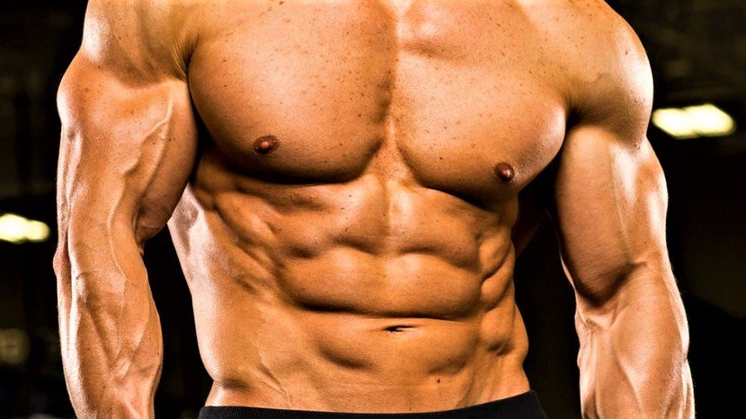 All about bodybuilding - fitness and beauty